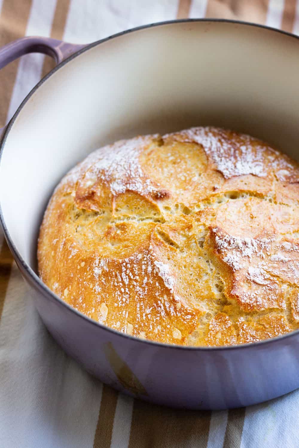 No Knead Dutch Oven Bread Recipe Mon Petit Four